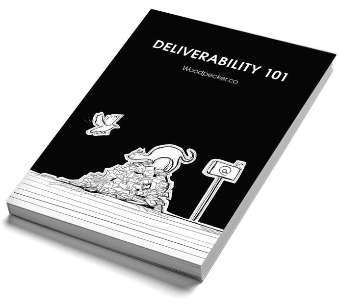 Deliverability 101 – Get a Free Ebook – Woodpecker.co